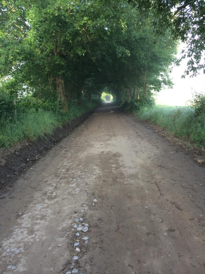 Elena, Canada - Camino Memories